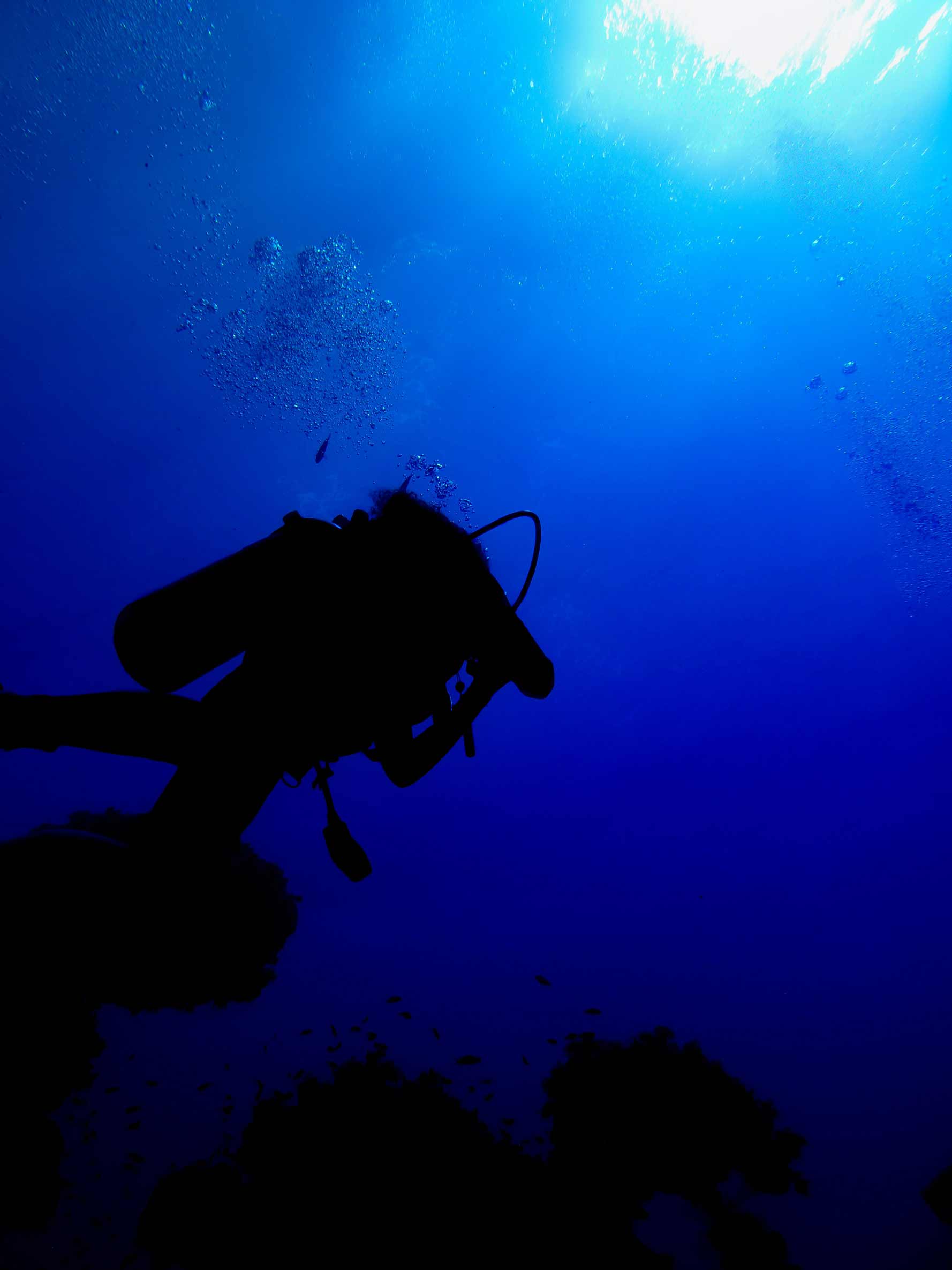 PADI Deep Diver Bali: Dive Deep up to 40 Meter!